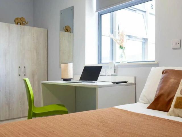 Platinum Accessible Studio