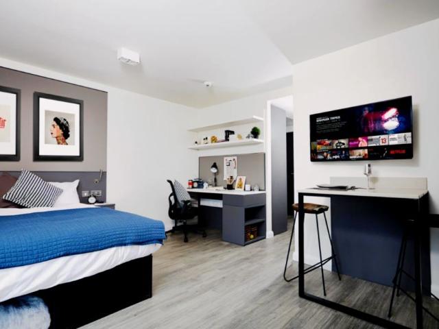 Platinum Accessible Studio