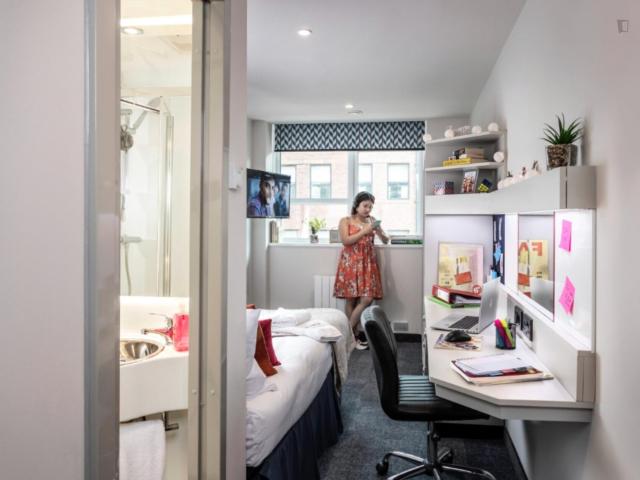 Platinum En suite Serviced Apartment Has a Room