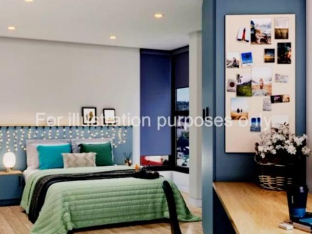 Platinum Plus Studio