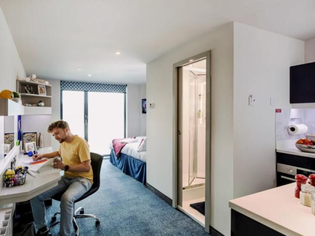 Platinum plus studio