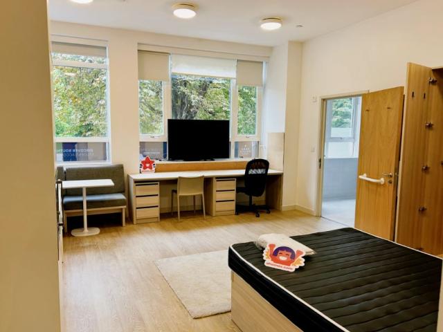 Platinum Plus Studio