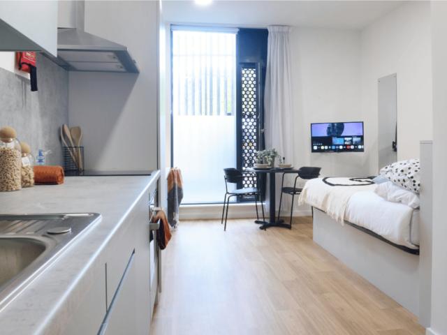 Platinum Plus Studio at The. Studio to rent £1,049 pcm £242 pw