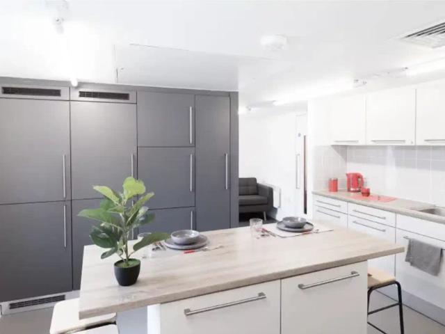 Platinum Studio