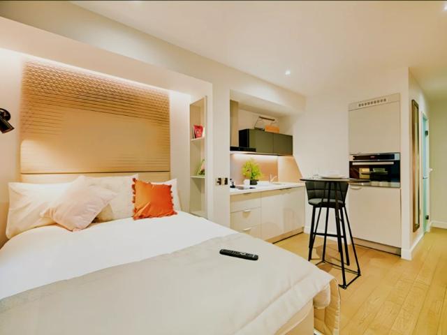 Platinum Studio