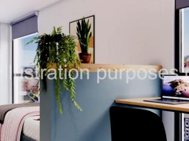 Platinum Studio