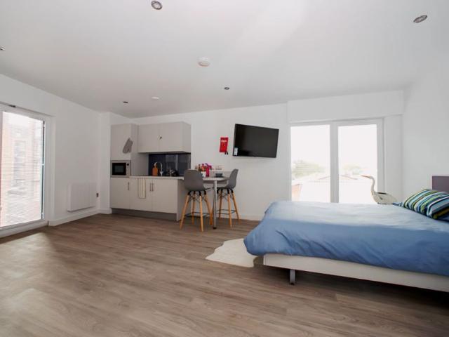 Platinum Studio + balcony