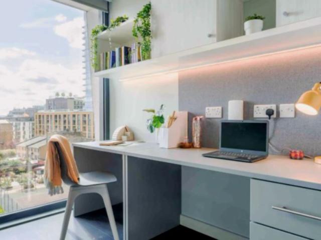 Platinum Studio Deluxe