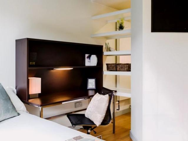 Platinum Studio Large