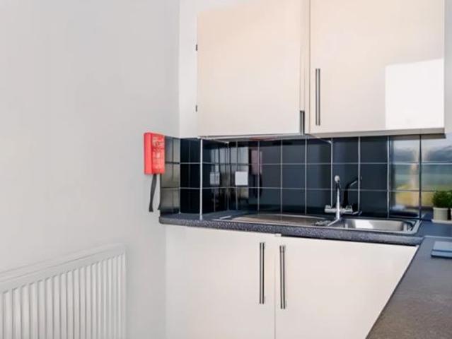 Platinum Studio Large