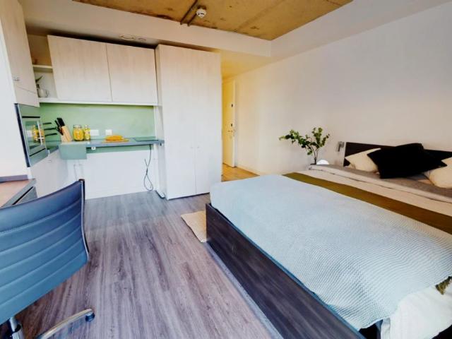 Platinum Studio Plus