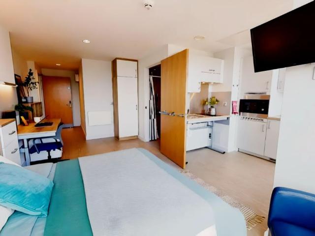 Platinum Studio Plus