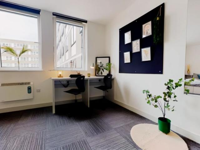 Platinum Studio Plus