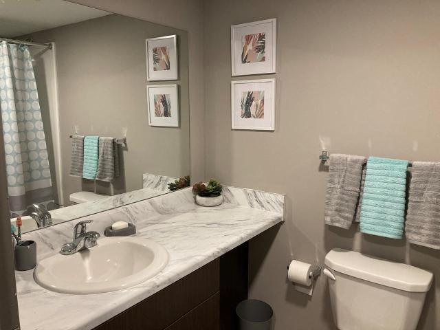Plato's Sheffield Studio Apartment for Rent at 4205 Hatch Blvd, Sheffield, AL 35660