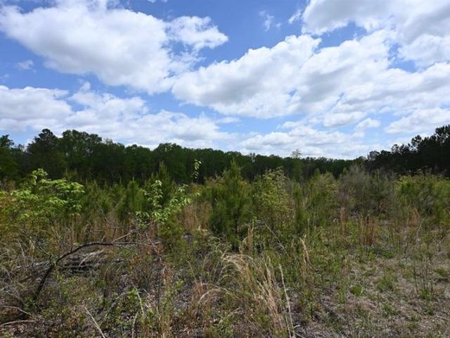 Platt Springs Rd, West Columbia, SC 29169