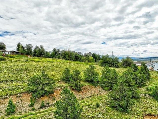 Platteview Dr Lot 32, Fairplay, CO 80440