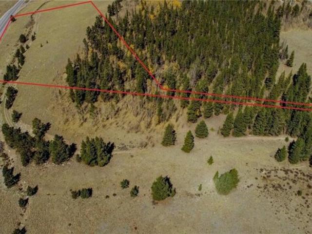 Platte River Dr Lot,fairplay, Plot For Sale