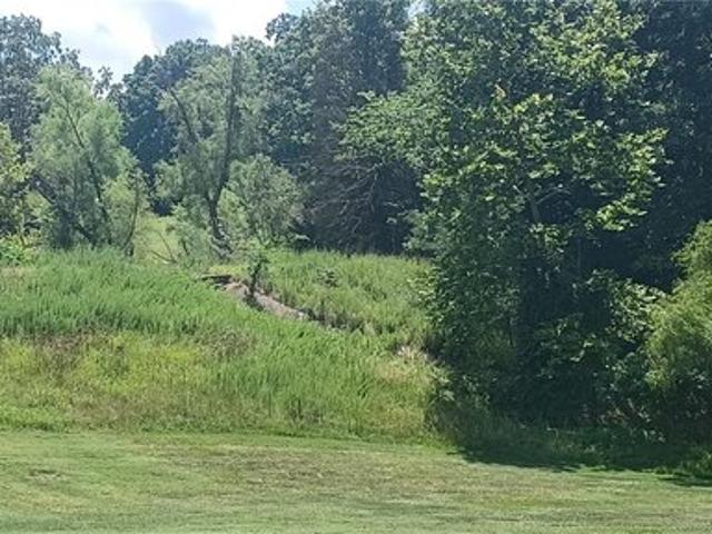 Player Dr Lot 193, Gravois Mills, MO 65037