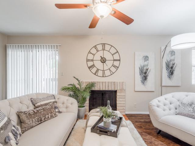 Plaza DeVille Silver Maple