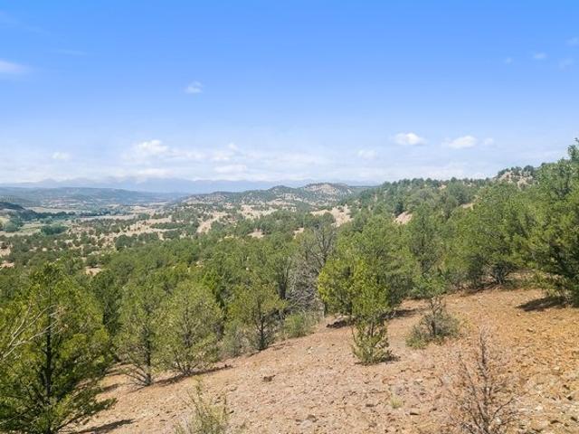 Plaza Rd Unit TRACT1, Weston, CO 81091