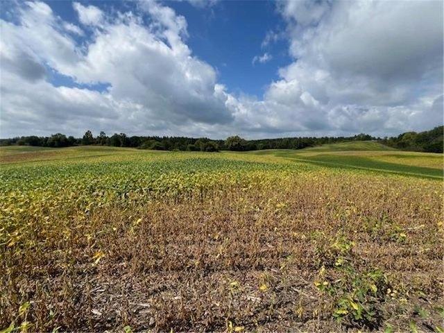 Placid Dr, Dent, MN 56573