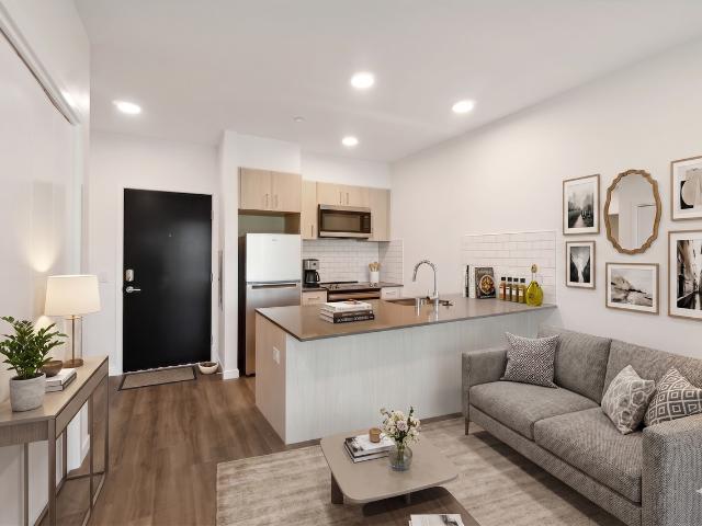 Plaid Apartments Studio Apartment for Rent at 514 Federal Ave E, Seattle, WA 98102 Broadway