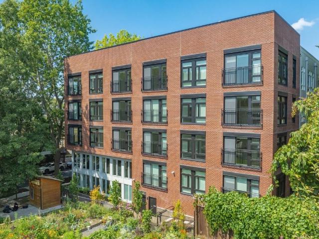 Plaid Apartments 1 Bedroom Apartment for Rent at 514 Federal Ave E, Seattle, WA 98102 Broadway