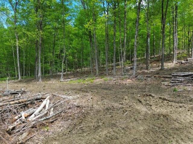 Plain Rd Lot, Hinsdale, Plot For Sale