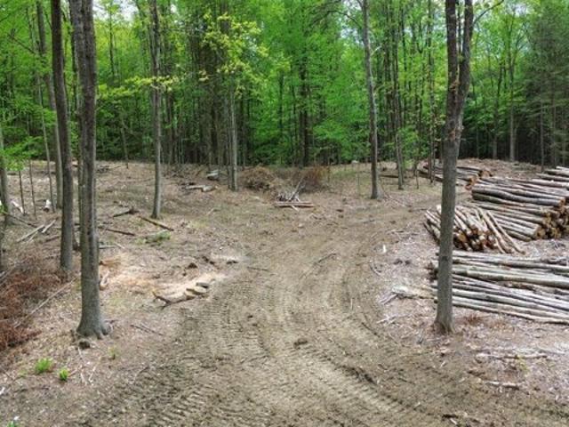 Plain Rd Lot, Hinsdale, Plot For Sale