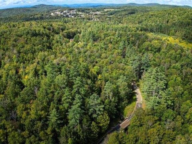 Plainfield NH 03781 LS103074197