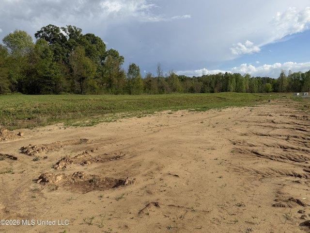Plainview Dr Lot 10, Vicksburg, MS 39180