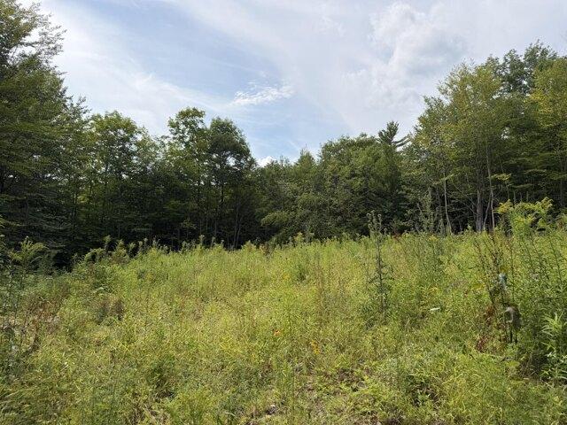 Plaisted Rd Lots And,plot For Sale