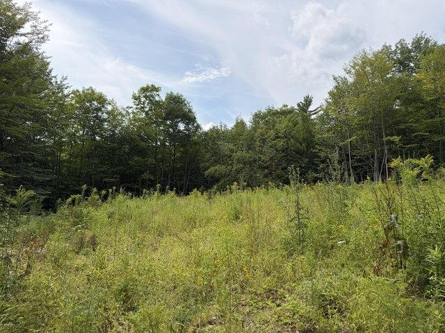 Plaisted Rd Lots 60 & 116, Jay, ME 04239