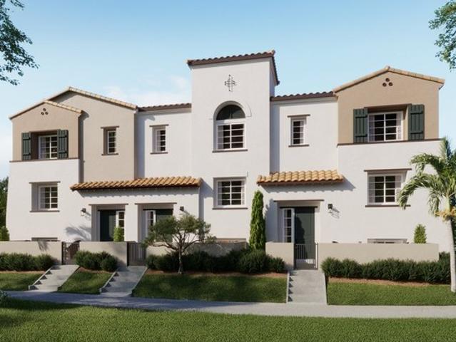 Plan C Palmera Community
