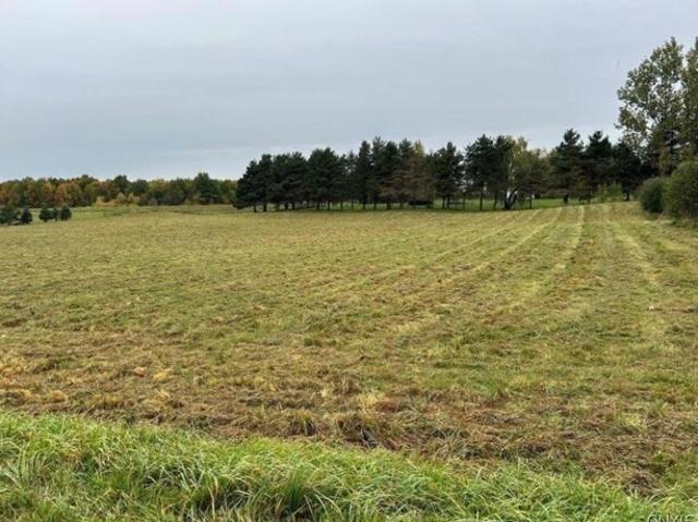 Plank Rd, Calcium, Plot For Sale
