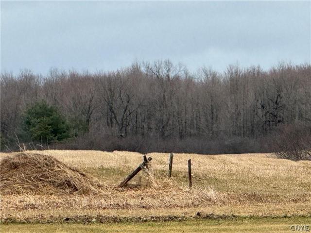 Plank Road