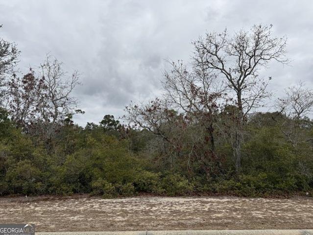 Plantation Pines Dr, Blackshear, GA 31516