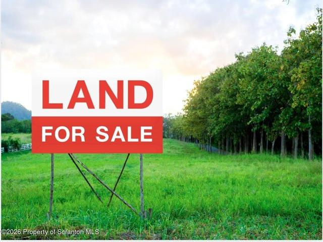 Pleasant Way Rd, Union Dale, PA 18470