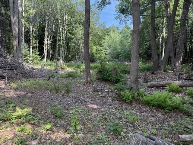 Pleasant Ave, Portland, Plot For Sale