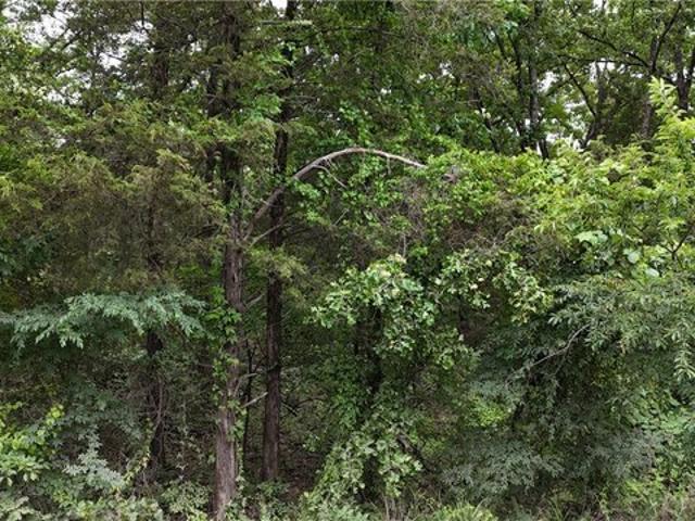 Pleasant Grove Loop Lot 0, Cleveland, AR 72030