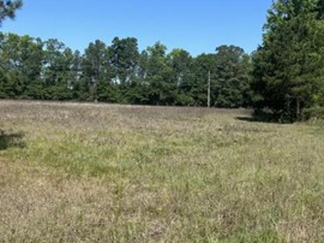 Pleasant Grove Rd, Walterboro, SC 29488