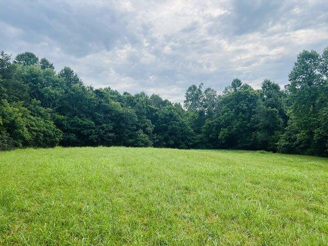 Pleasant Grove Rd, Westmoreland, TN 37186