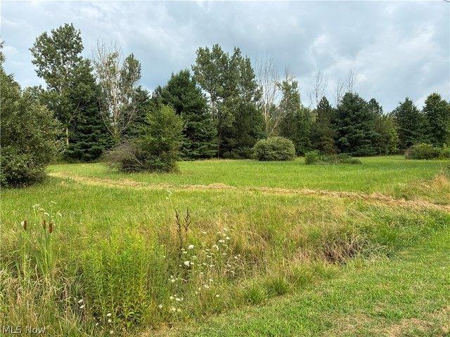 Pleasant Home Rd, Marshallville, OH 44645