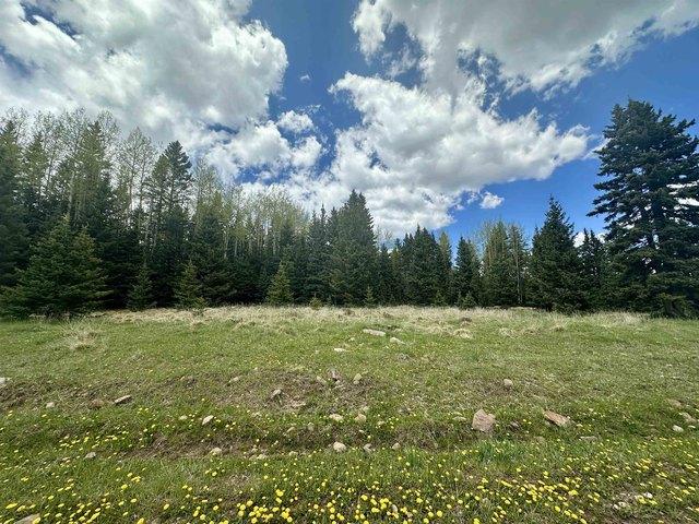Pleasant Meadow Dr Lot 15, Angel Fire, NM 87710