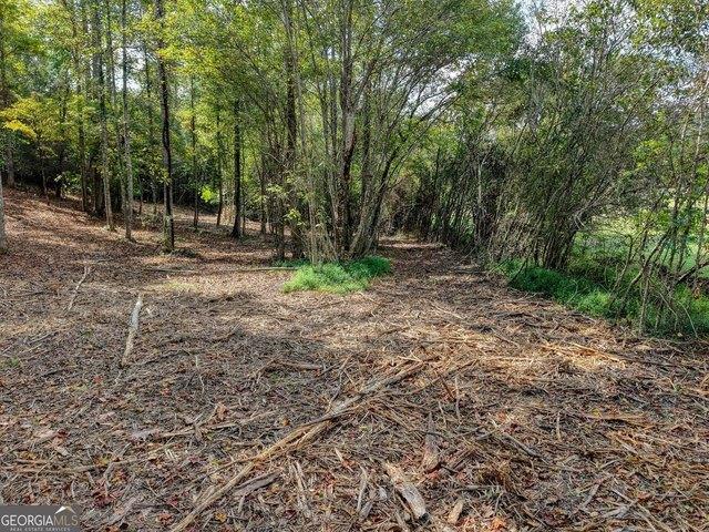 Pleasant Meadows / Coras Vw Lot 39, Blairsville, GA 30512