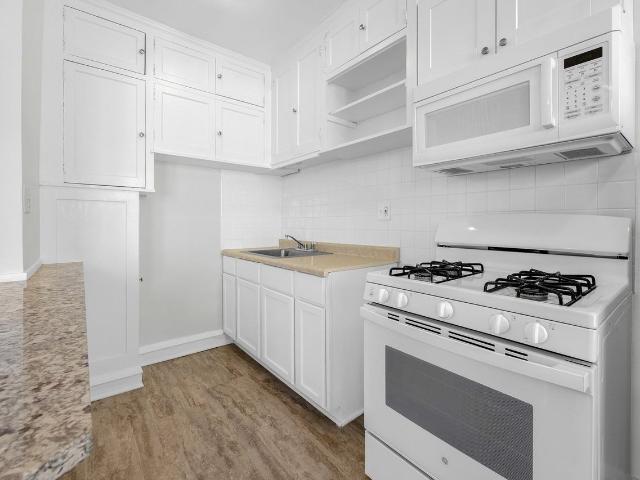 Pleasant Oak 1 Bedroom Apartment for Rent at 212 S Oak Park Ave, Oak Park, IL 60302