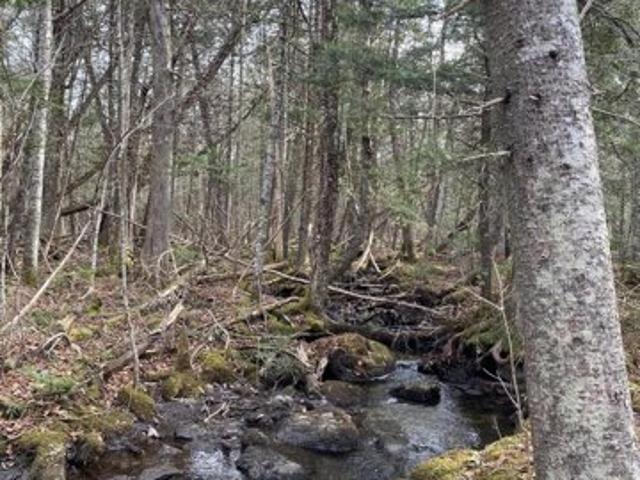 Pleasant Ridge Rd Lot,dexter, Plot For Sale
