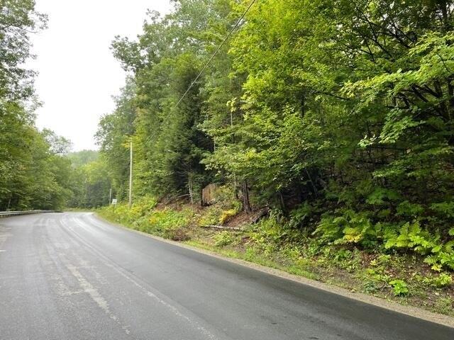 Pleasant Ridge Rd Parcel C, Concord Township, Plot For Sale