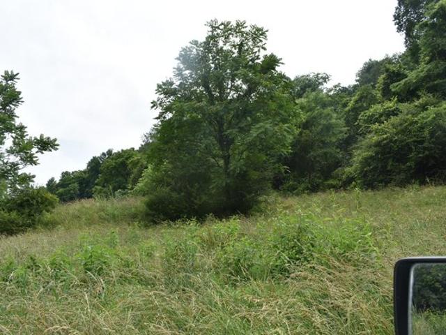 Pleasant Shade Hwy, Pleasant Shade, TN 37145
