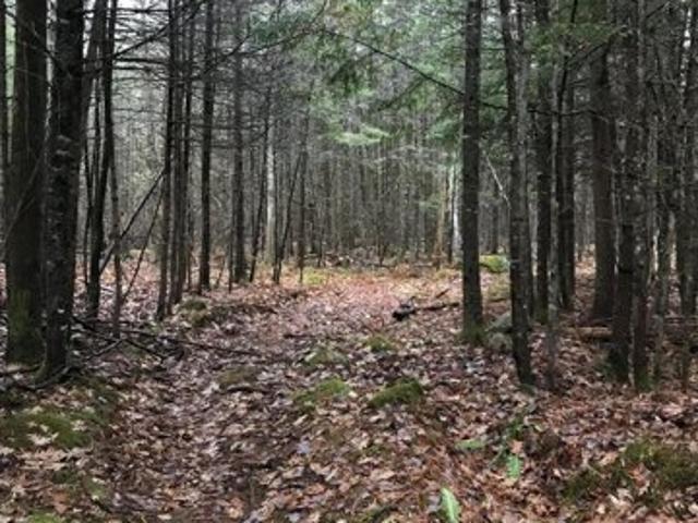 Pleasant St, Norway, Plot For Sale